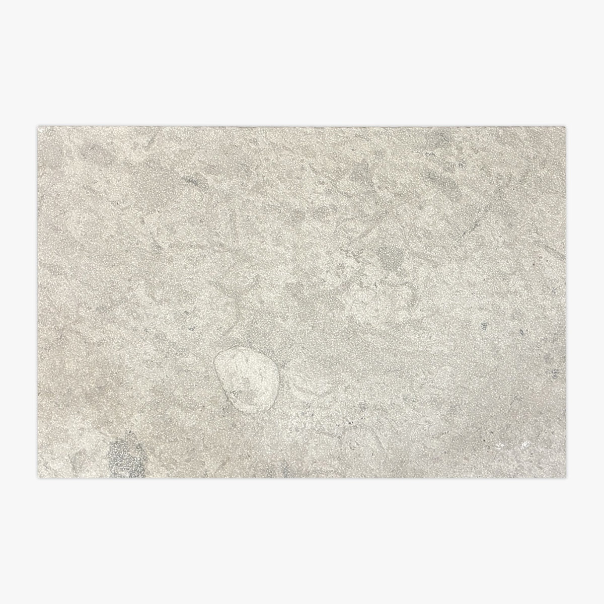 Thala Grey Antiqued 16x24 Limestone Tile — Palazzo Tile & Stone
