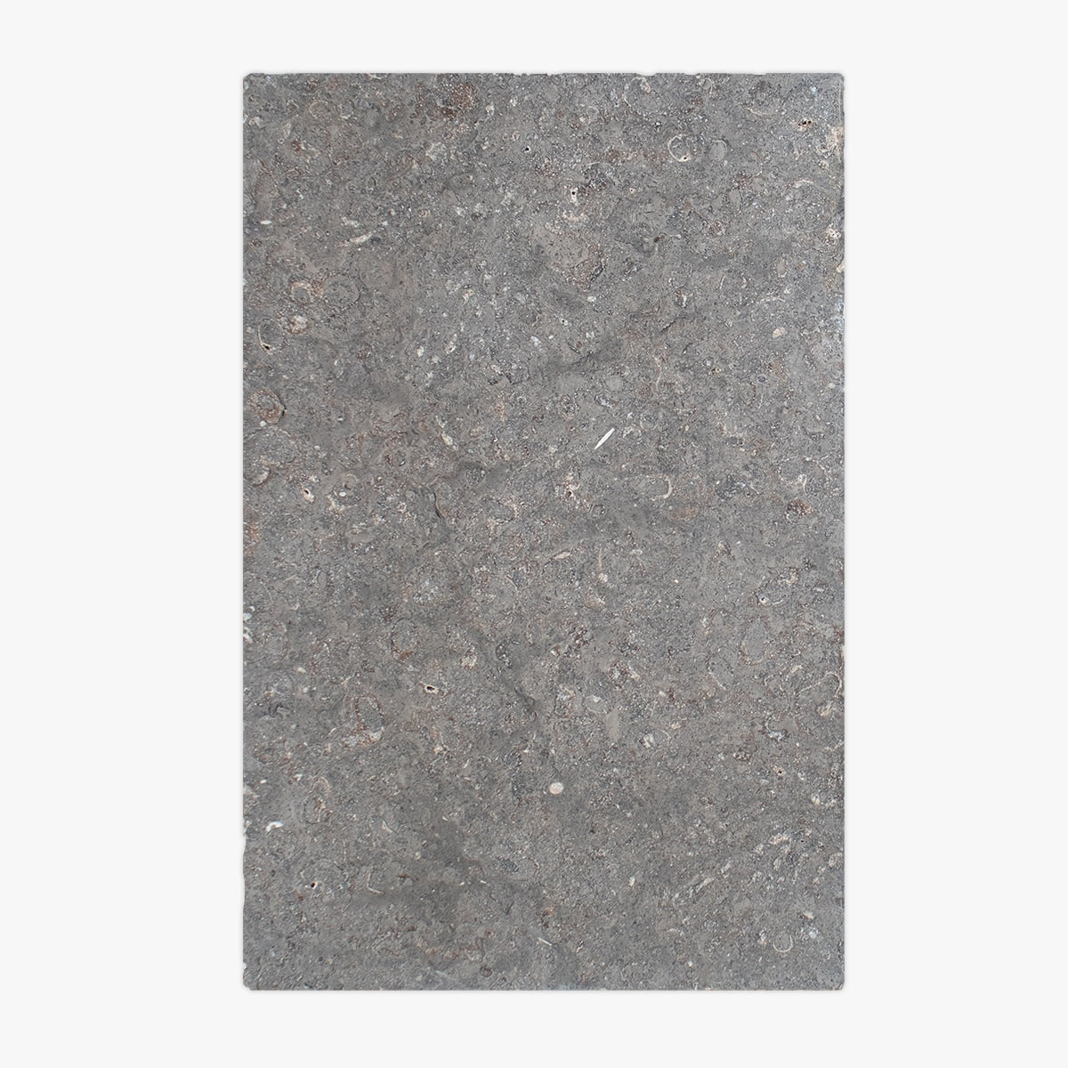 Caracas Blue Antiqued 16x24 Distressed Limestone Tile — Palazzo Tile ...