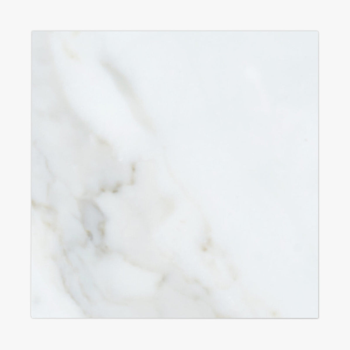 Calacatta Gold Honed 12x12 Marble Tile — Palazzo Tile & Stone