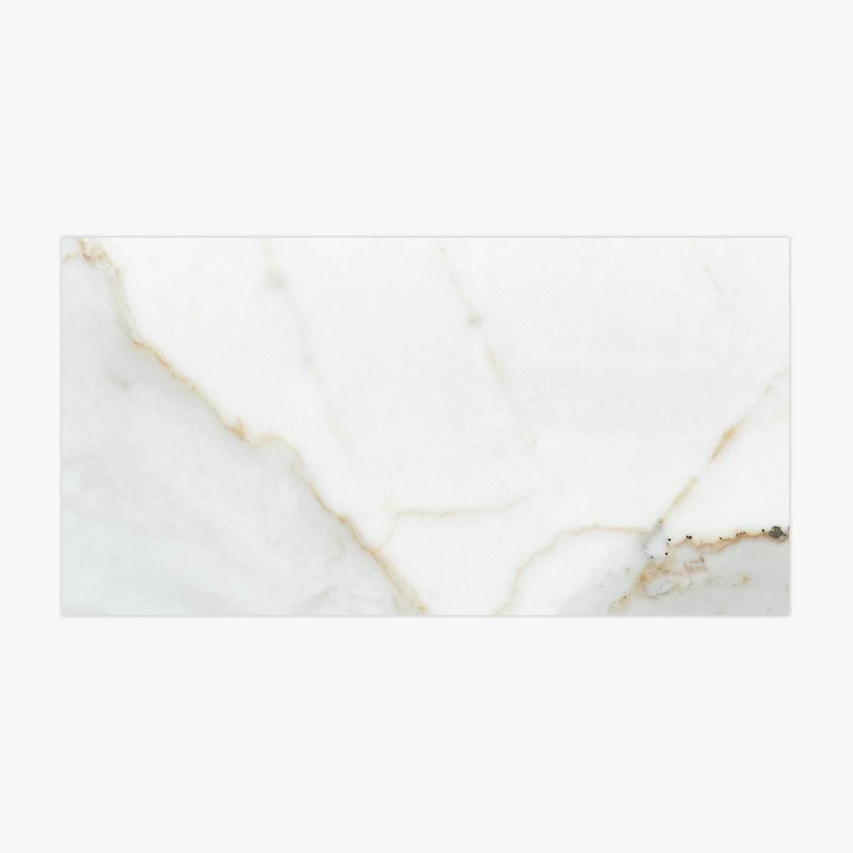 Calacatta Gold Polished 12x24 Marble Tile — Palazzo Tile & Stone