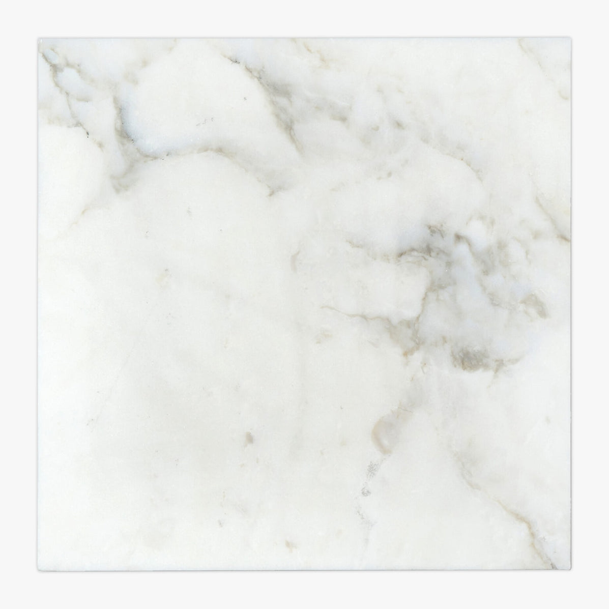 Calacatta Oliva Honed 18x18 Marble Tile — Palazzo Tile & Stone