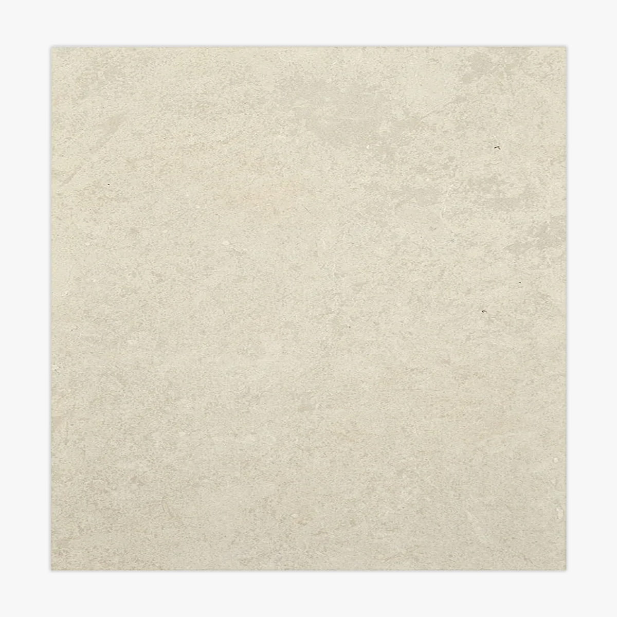 Crema Balkan Honed 24x24 Limestone Tile — Palazzo Tile & Stone