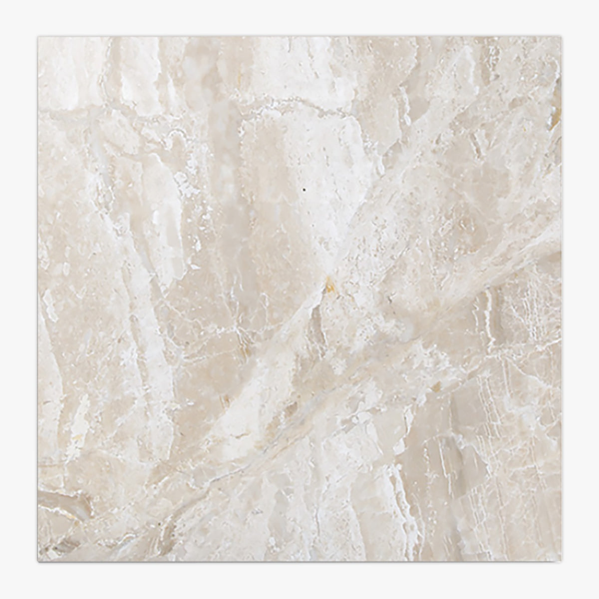 Daino Reale Polished 12x12 Marble Tile — Palazzo Tile & Stone