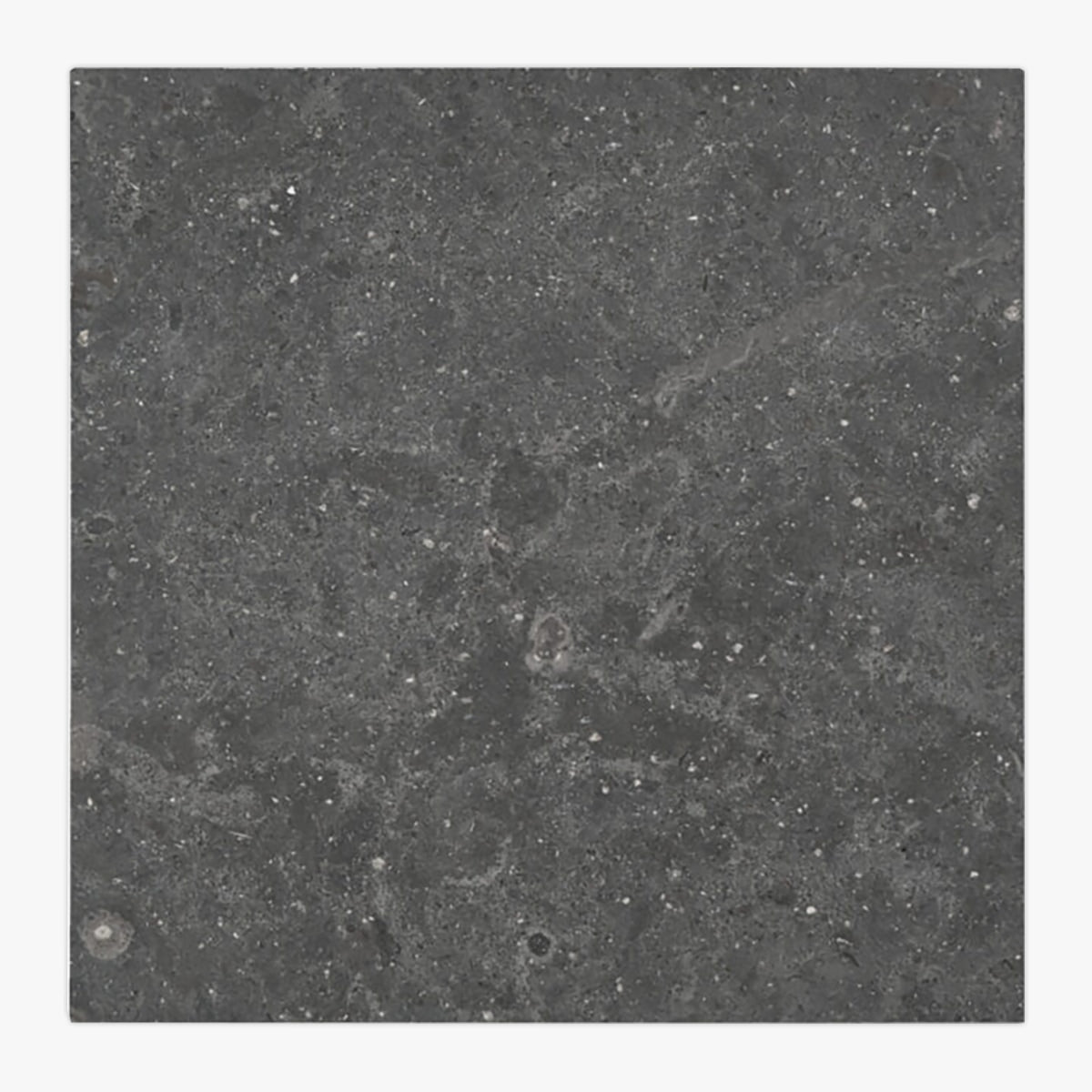 Nova Blue Honed 18x18 Limestone Tile — Palazzo Tile & Stone