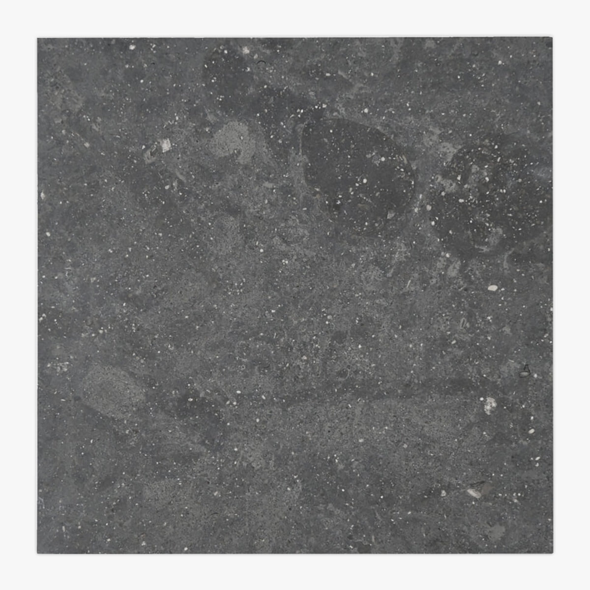 Nova Blue Honed 24x24 Limestone Tile — Palazzo Tile & Stone
