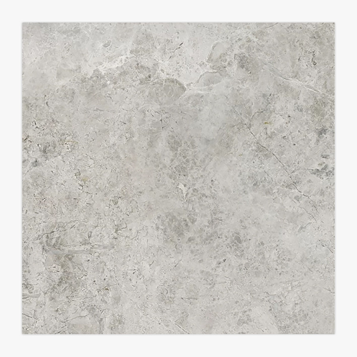 Silver Shadow Polished 12x12 Marble Tile — Palazzo Tile & Stone
