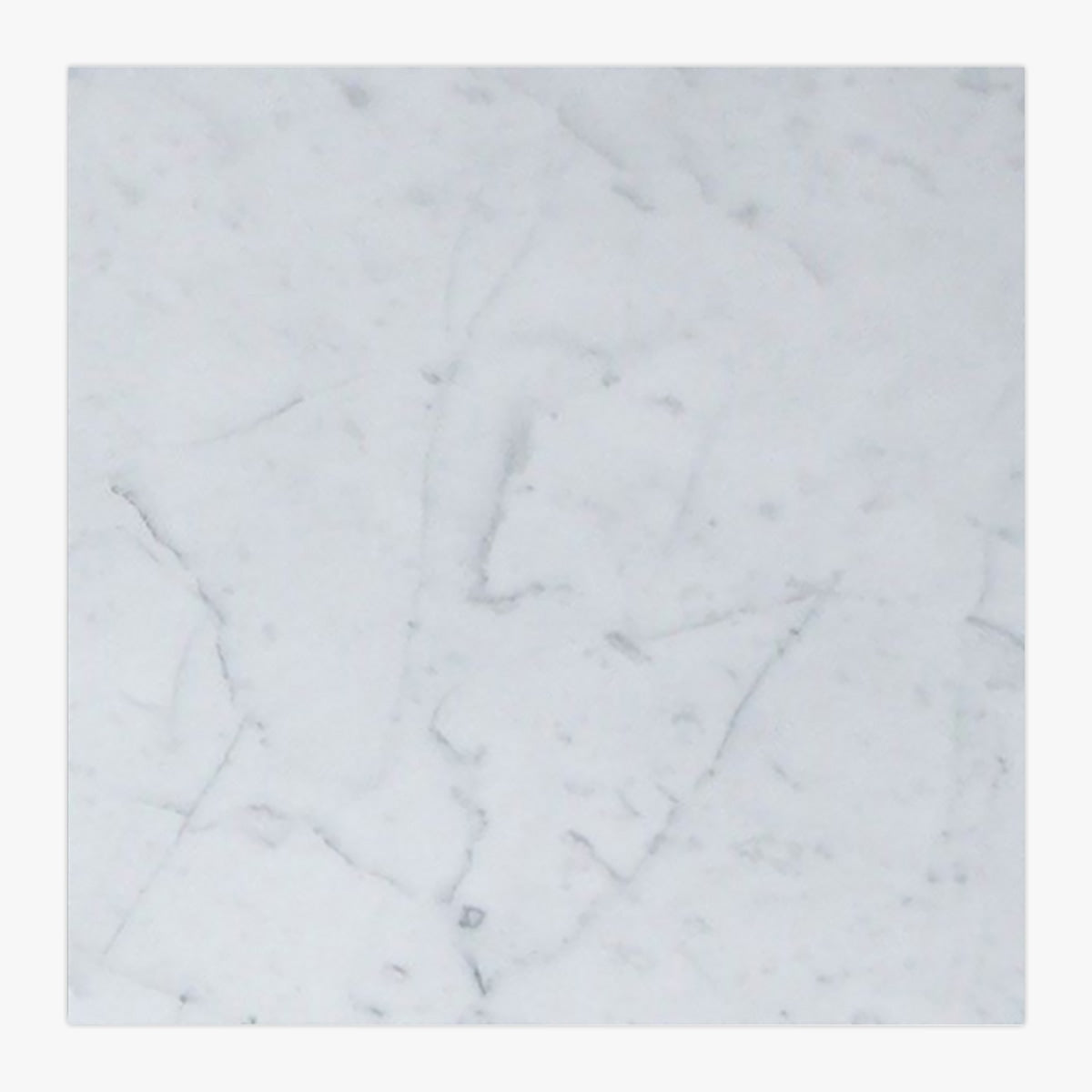 White Carrara Honed 18x18 Marble Tile — Palazzo Tile & Stone