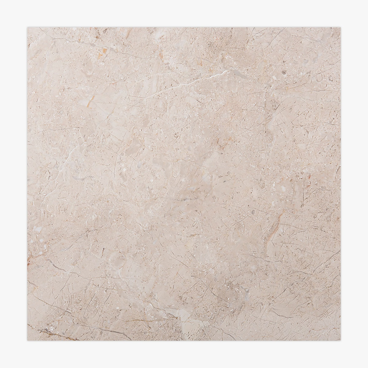 Bursa Beige Polished 12x12 Marble Tile — Palazzo Tile & Stone