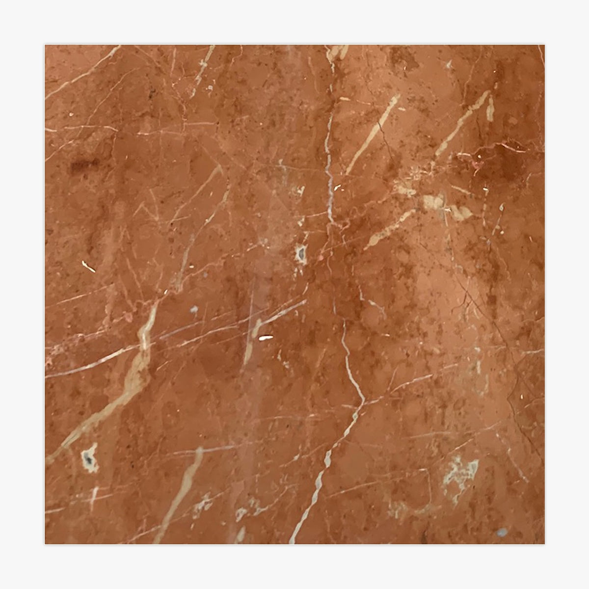 Rojo Alicante Polished 12x12 Marble Tile — Palazzo Tile & Stone