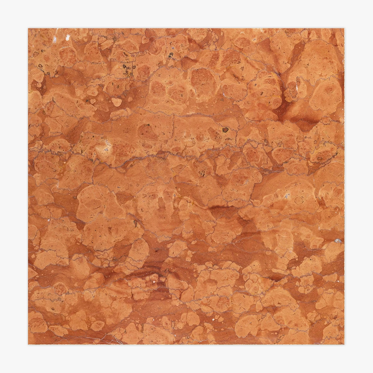 Rosso Verona Polished 12x12 Marble Tile — Palazzo Tile & Stone