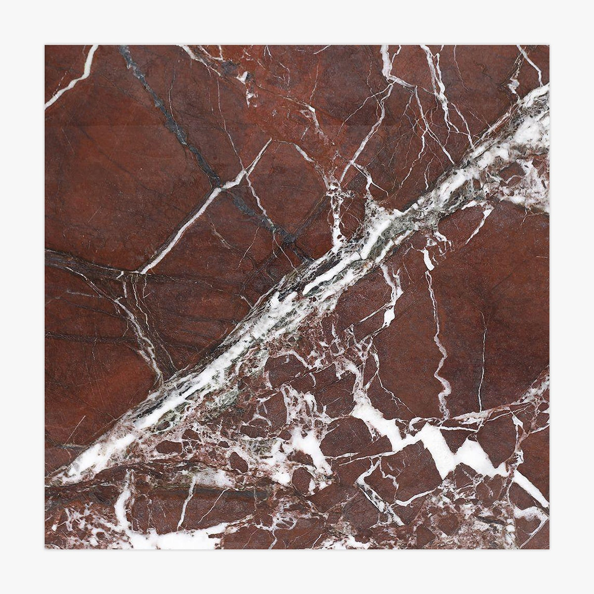 Rosso Levanto Polished 12x12 Marble Tile — Palazzo Tile & Stone