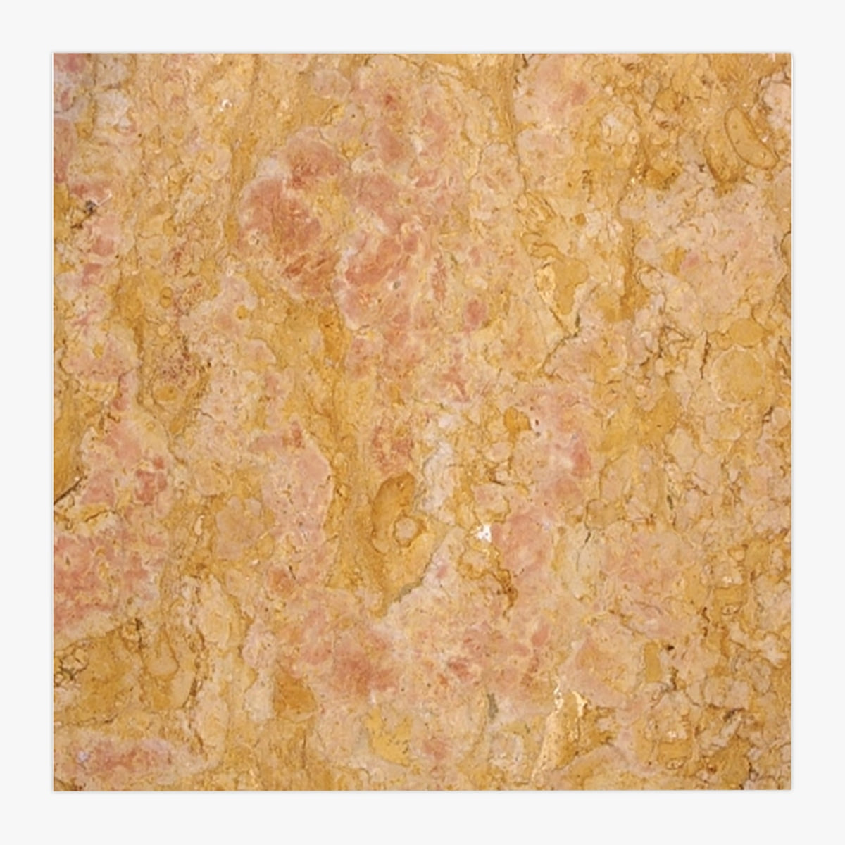 Giallo Reale Polished 12x12 Marble Tile — Palazzo Tile & Stone