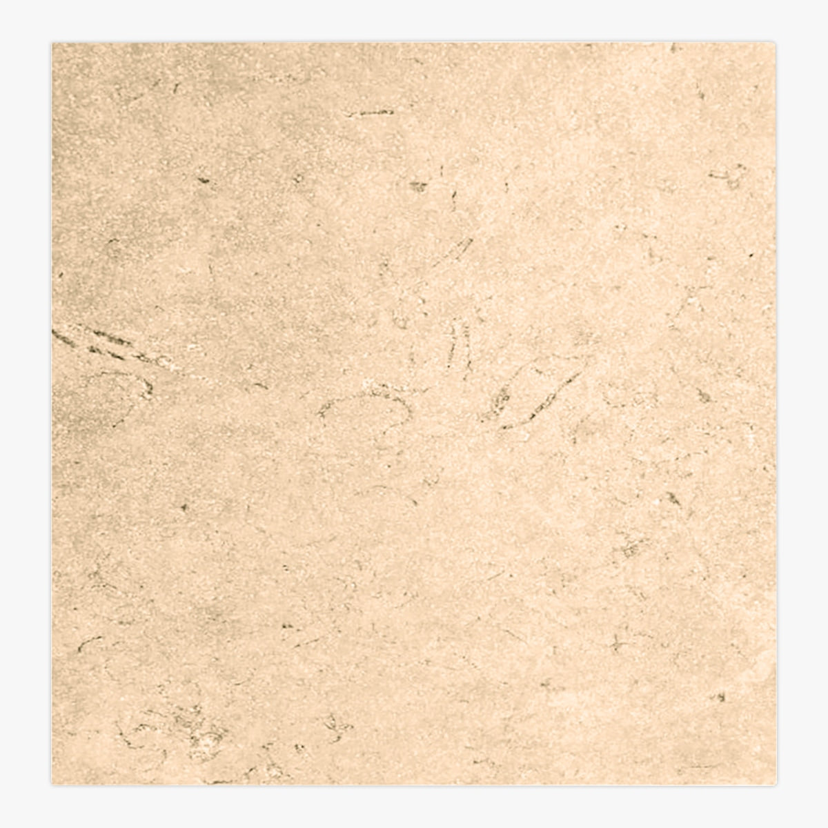Halila Gold Honed 12x12 Limestone Tile — Palazzo Tile & Stone