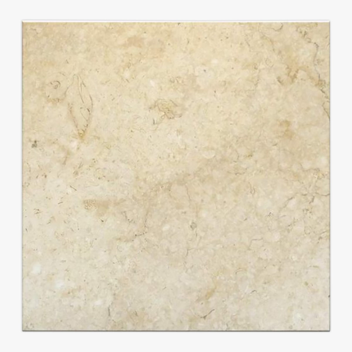 Jerussalem Mink Honed 18x18 Limestone Tile — Palazzo Tile & Stone