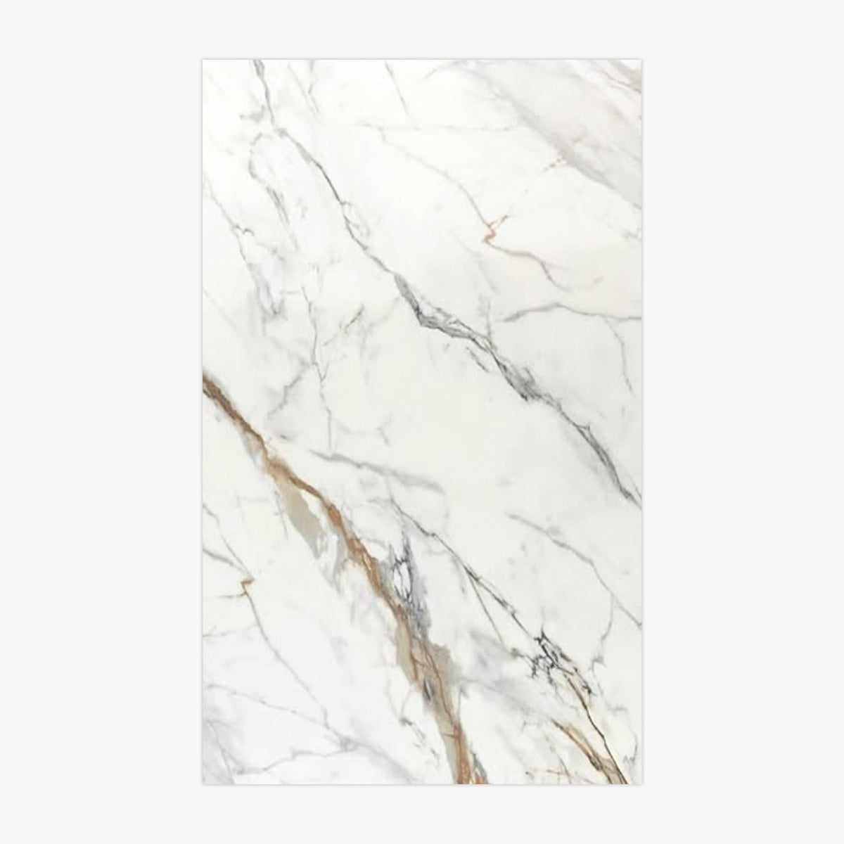 Calacatta Gold Honed 18x36 Marble Tile — Palazzo Tile & Stone