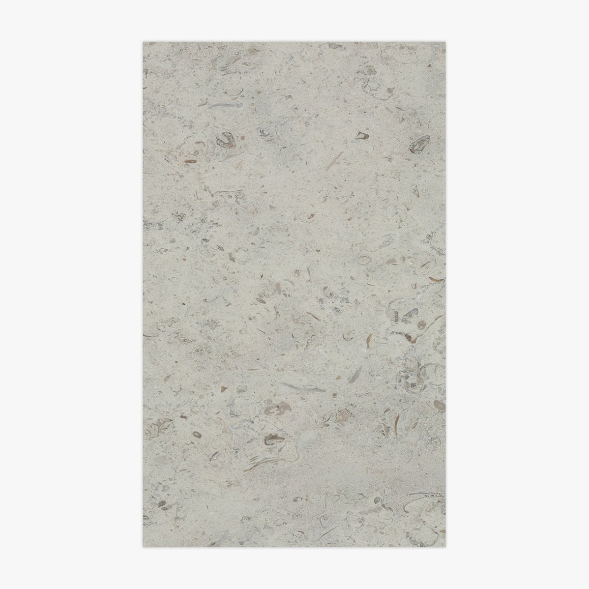 Tile — Palazzo Tile & Stone