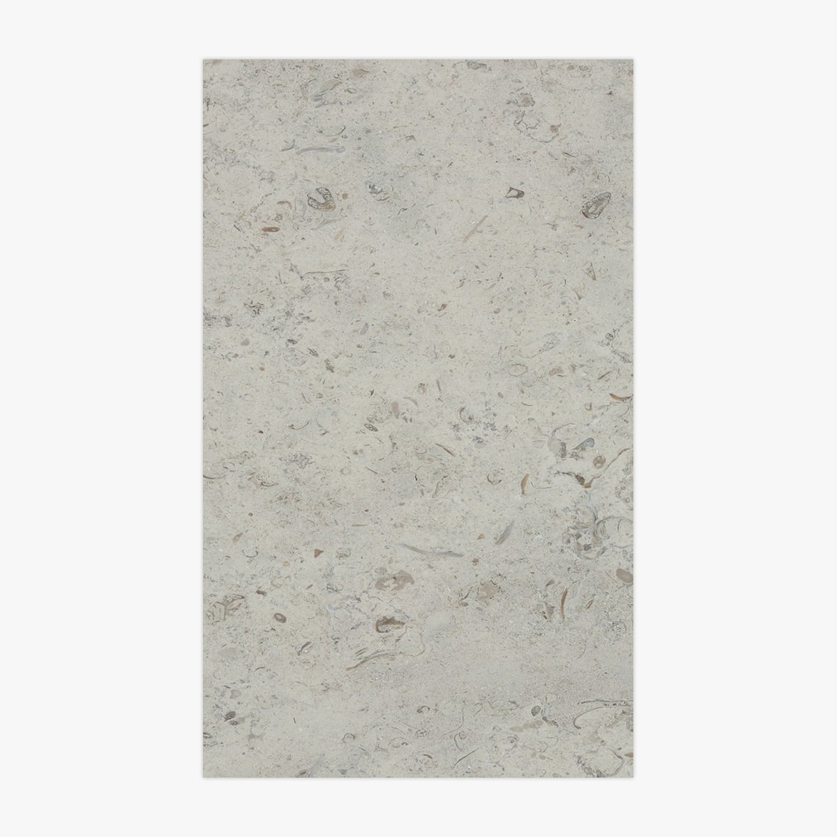 Gascogne Blue Honed 18x36 Limestone Tile — Palazzo Tile & Stone