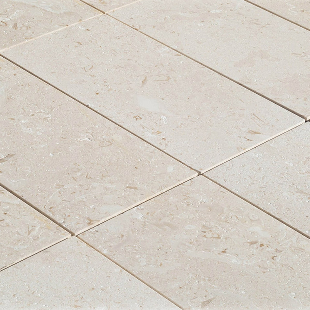 Tile — Palazzo Tile & Stone