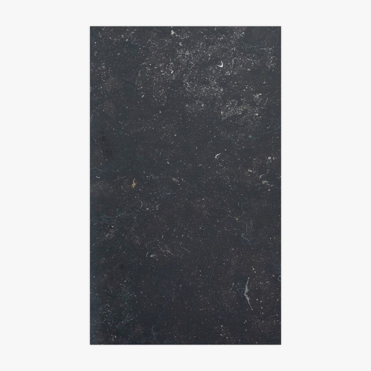 Petite Granite Honed 18x36 Limestone Tile — Palazzo Tile & Stone